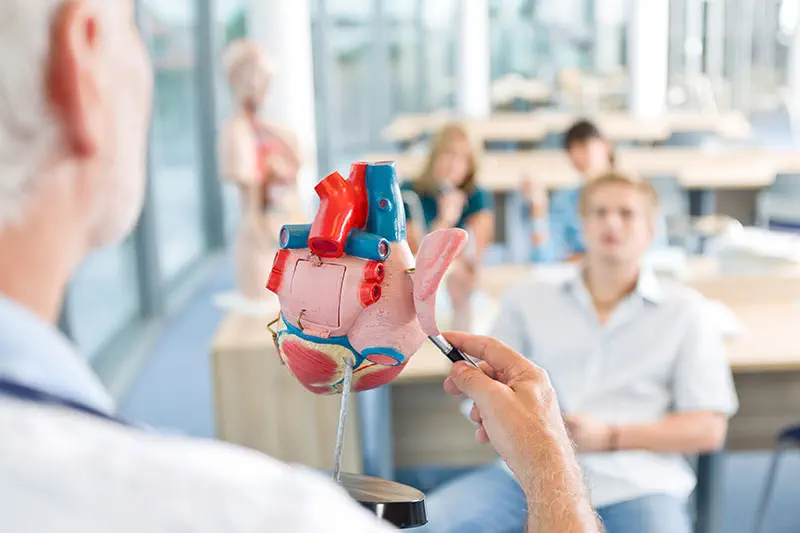 Formation médicale : les doyens des facultés de médecine militent pour ...